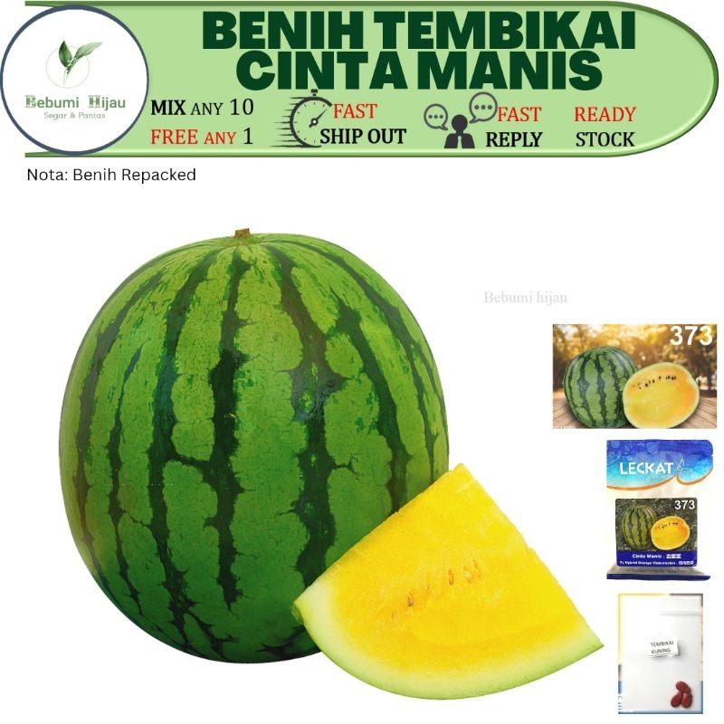 PELBAGAI Biji benih TEMBIKAI WATERMELON seeds manis juicy besar ...
