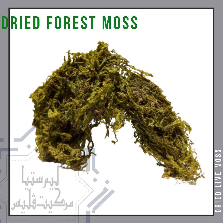 Dried Forest Moss For Pavement Micro-Terrarium Orchid Phalaenopsis ...
