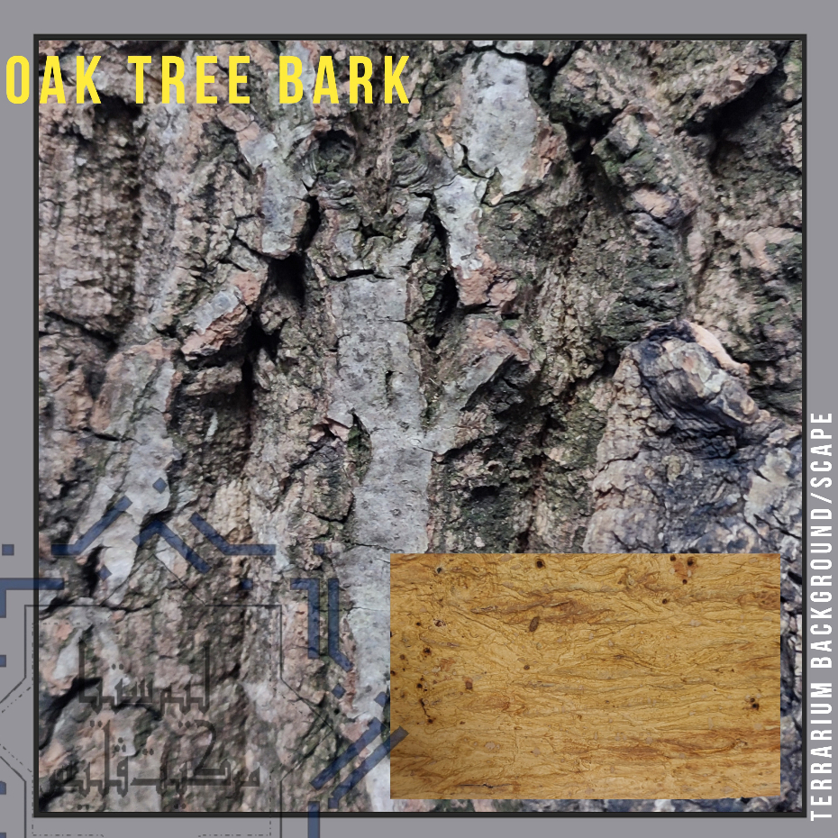 Cork Bark Terrarium Background Reptiles Bedding Animal Habitat Oak Cork ...