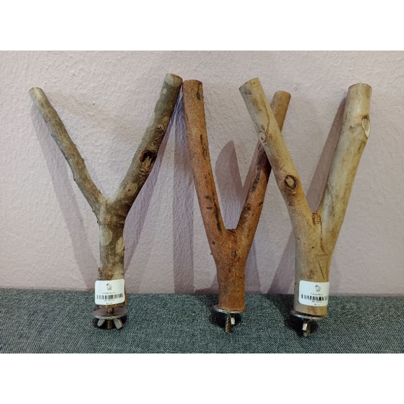 Parrot Wood Perch Y size (20cm) | Shopee Malaysia