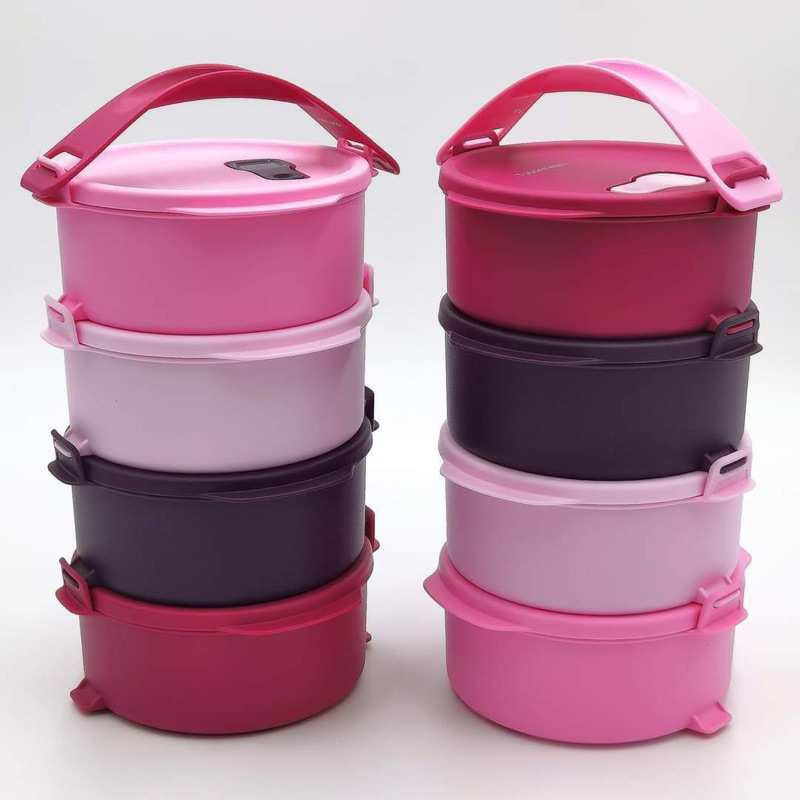 Tupperware Tup Tiffin 550ml 🔥Microwaveable | Shopee Malaysia