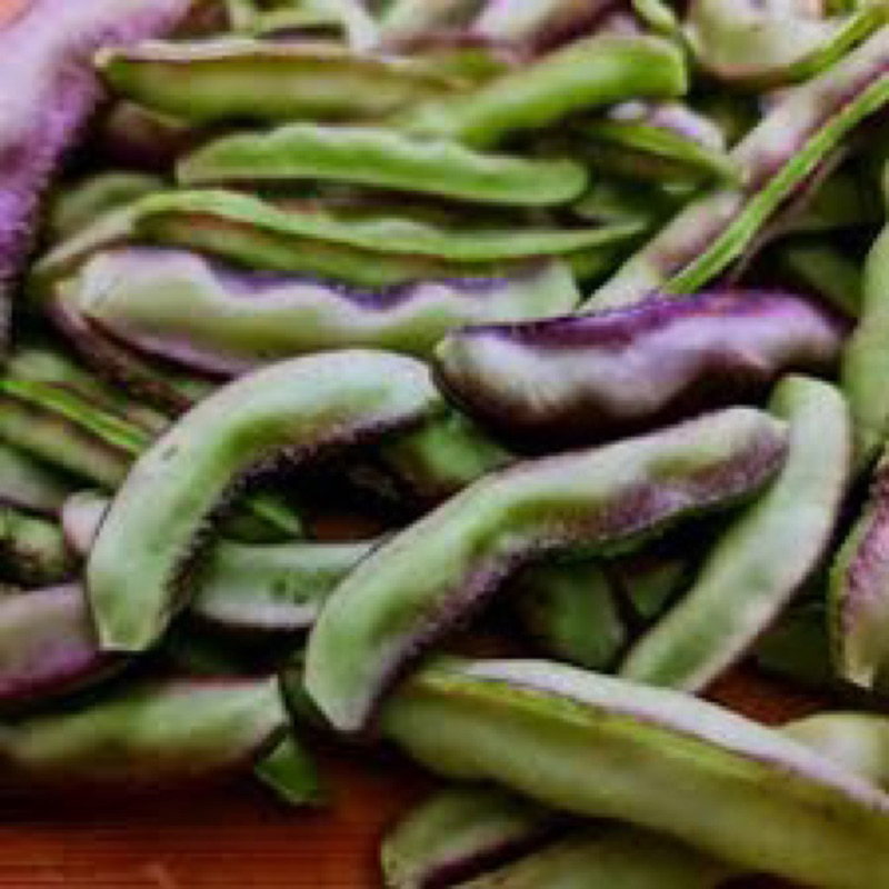 Broad beans / kacang sepat / avarakai - 1kg | Shopee Malaysia