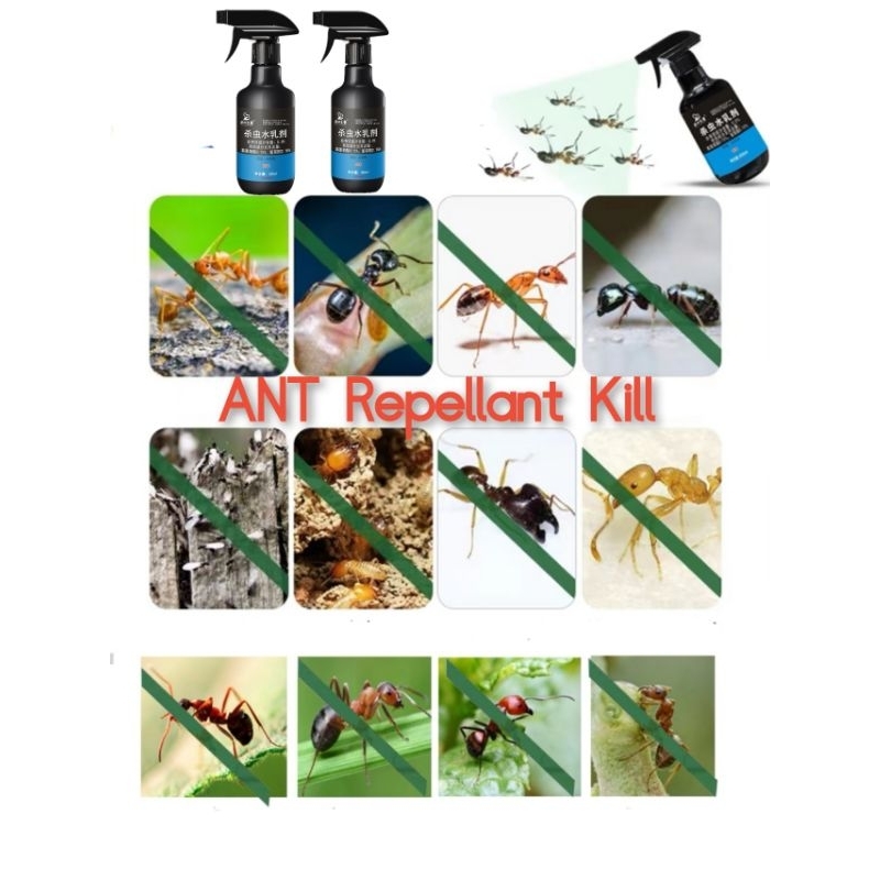 2pcs 300ml Ant Killer Spray Ant Repellant Kill Ant Killing Bait Ubat ...