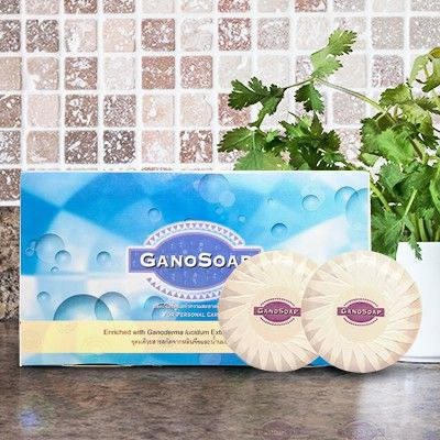 GANO SOAP (100g x 2) GANOEXCEL SABUN ORIGINAL SUSU KAMBING DAN EKSTRAK ...