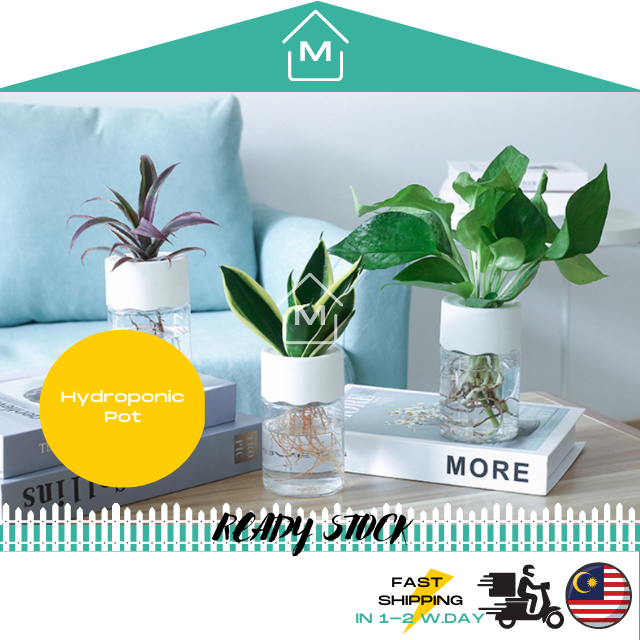 Transparent Hydroponic Flower Pot Self Absorption Plant Home Office ...