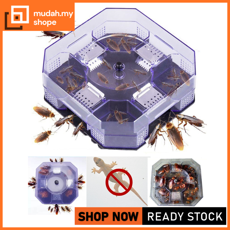 Cockroach Trap killer box COCKROACH TRAP PERANGKAP LIPAS CICAK LIZARD ...