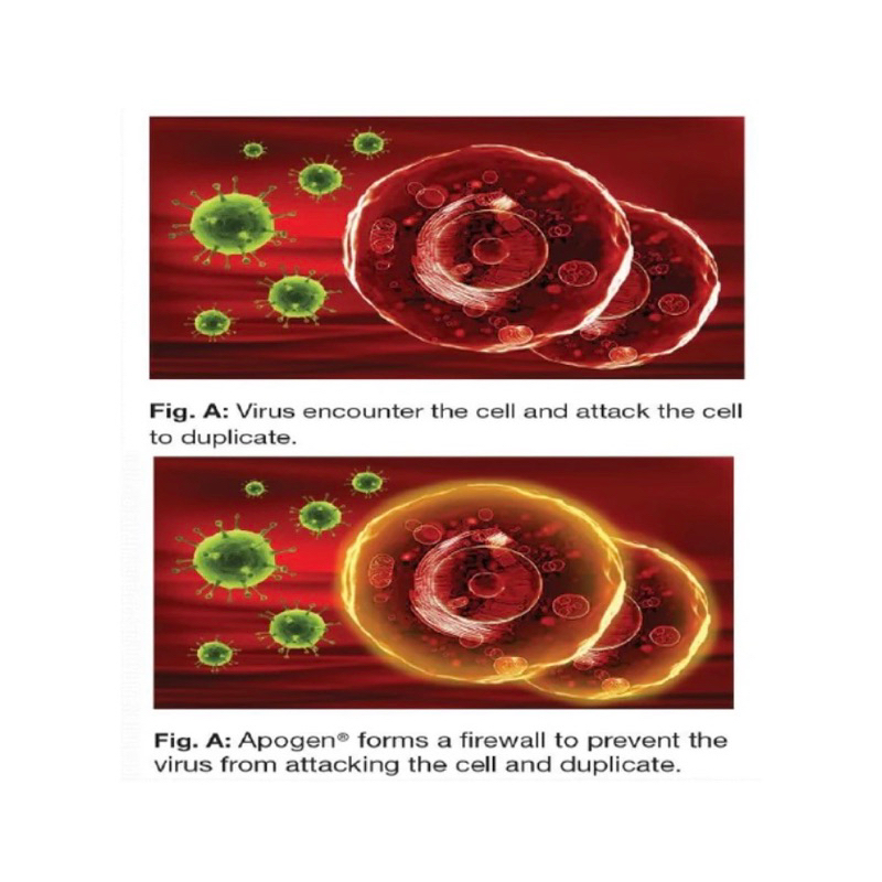 Apogen Plus Spirulina and Probiotics Powder (2x40 Sachets) | Shopee ...