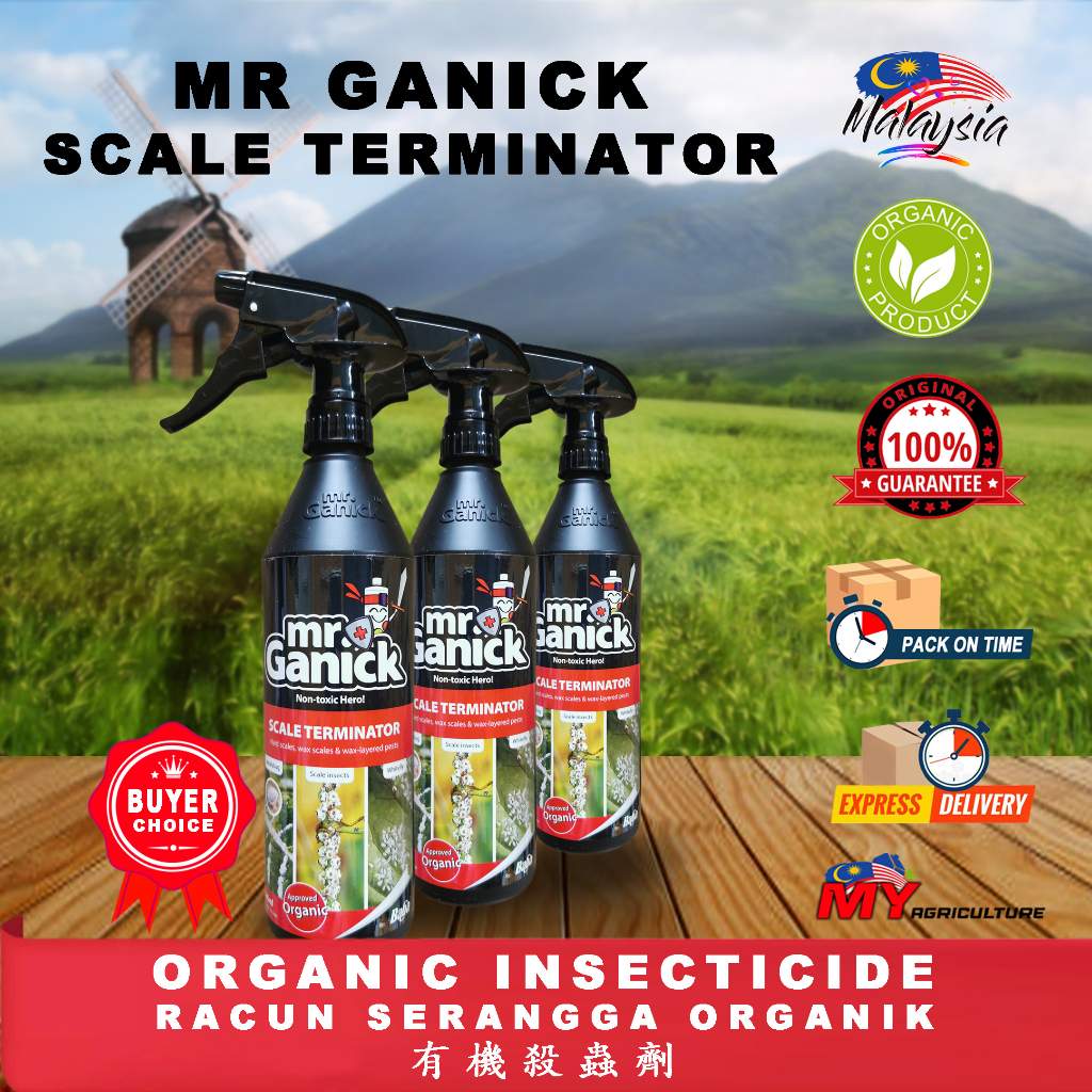 BABA MR GANICK SCALE TERMINATOR RACUN SERANGGA ORGANIK ORGANIC ...
