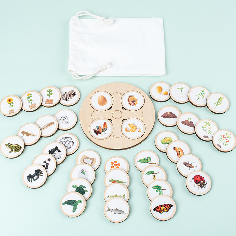 Montessori Life Cycle Puzzle Board Kit Life Cycle Puzzle Kit of Animals ...