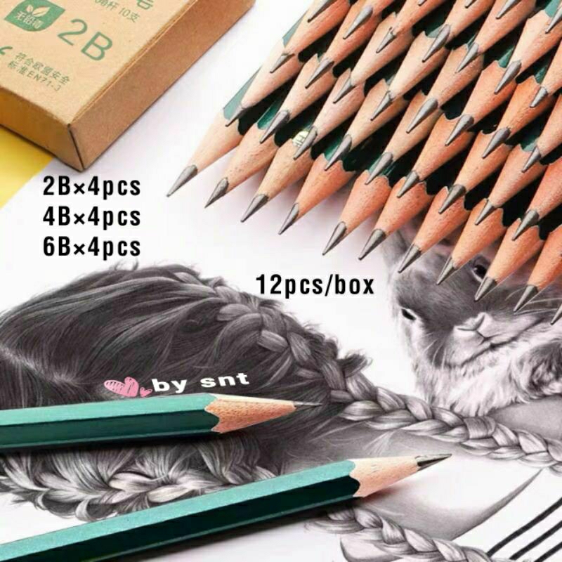 SNT (3029) (12pcs/set) Pencil/Pensel(2B/4B/6B)Professional/Drawing ...