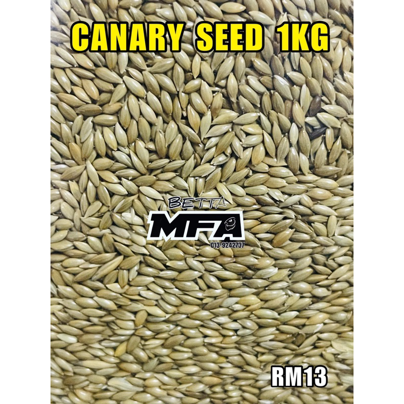 CANARY SEED 1kg REPACK | Shopee Malaysia