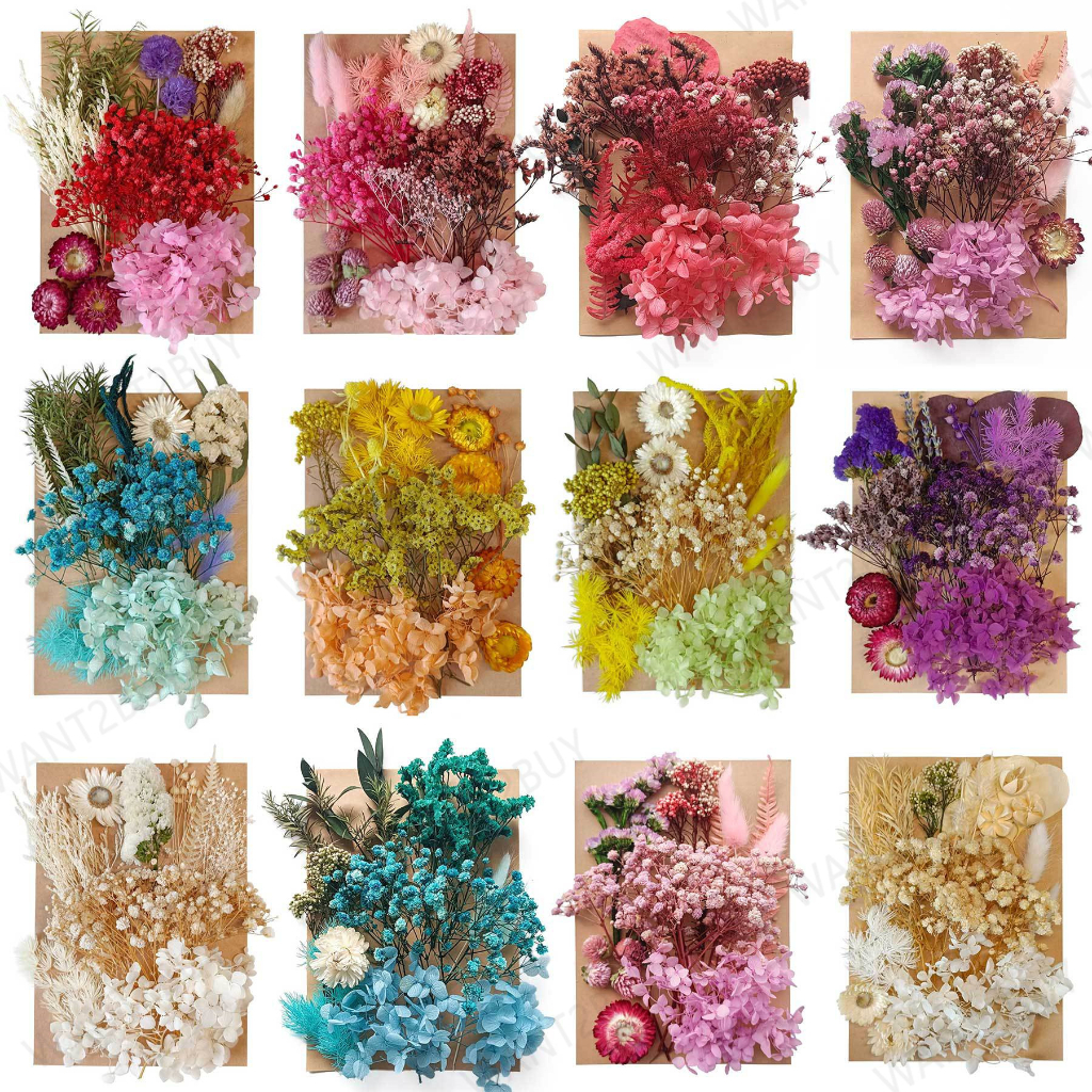 DIY Preserved Pressed Mixed Dried Flower Handmade Art Floral Decoration ...