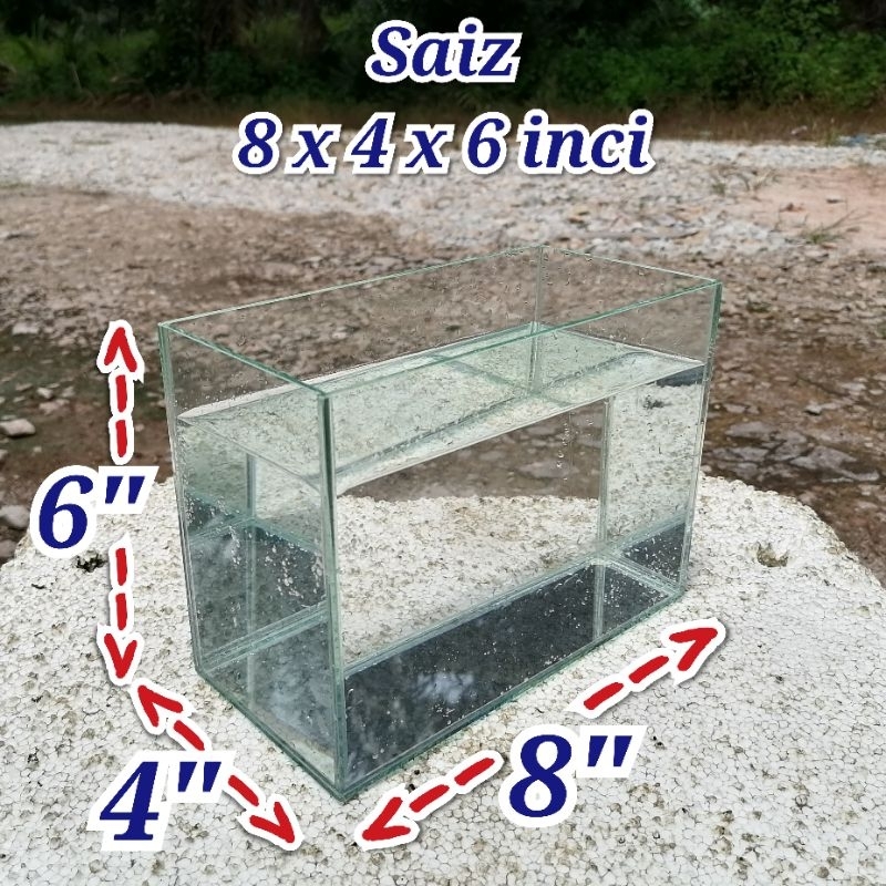 Mini akuarium kaca saiz 8x4x6 inci | Shopee Malaysia