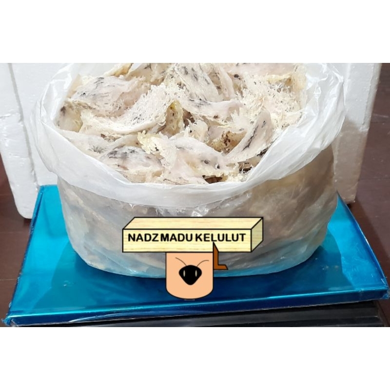 Patahan Sarang Burung Walit Walet Asli Birdnest Swiftlet Original 0.5kg ...