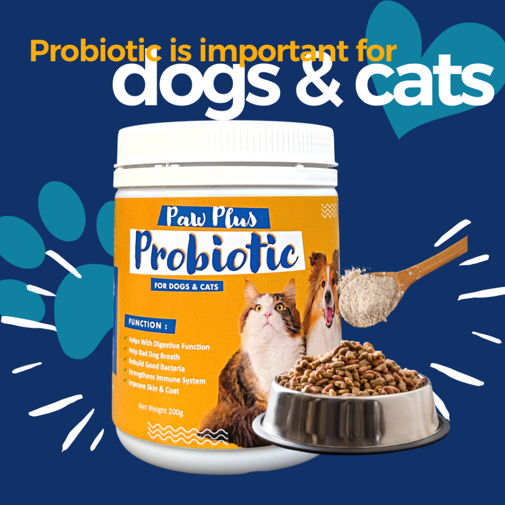 PAW PLUS Pet Probiotic Cat Dog Constipation Enzyme Supplement Bad ...