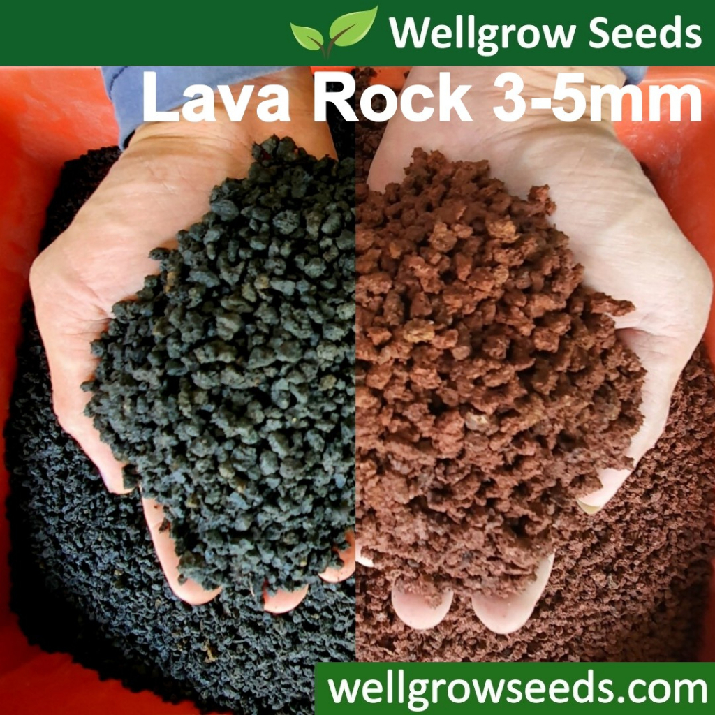 4L Lava Rock Various Sizes (Red/black) 火山石(细) Pasir Malang kaktus ...