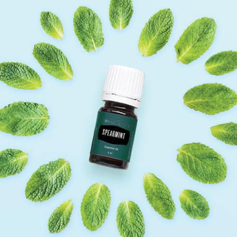 Young Living Spearmint Essential Oil Yl 15 Ml Shopee Malaysia