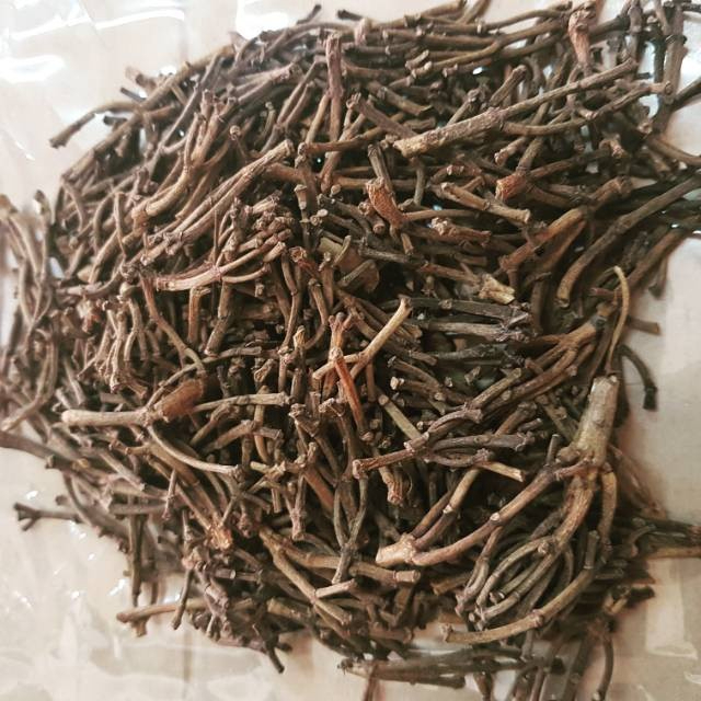 Clove steam handle spice rempah gagang cengkih kering (Syzygium ...