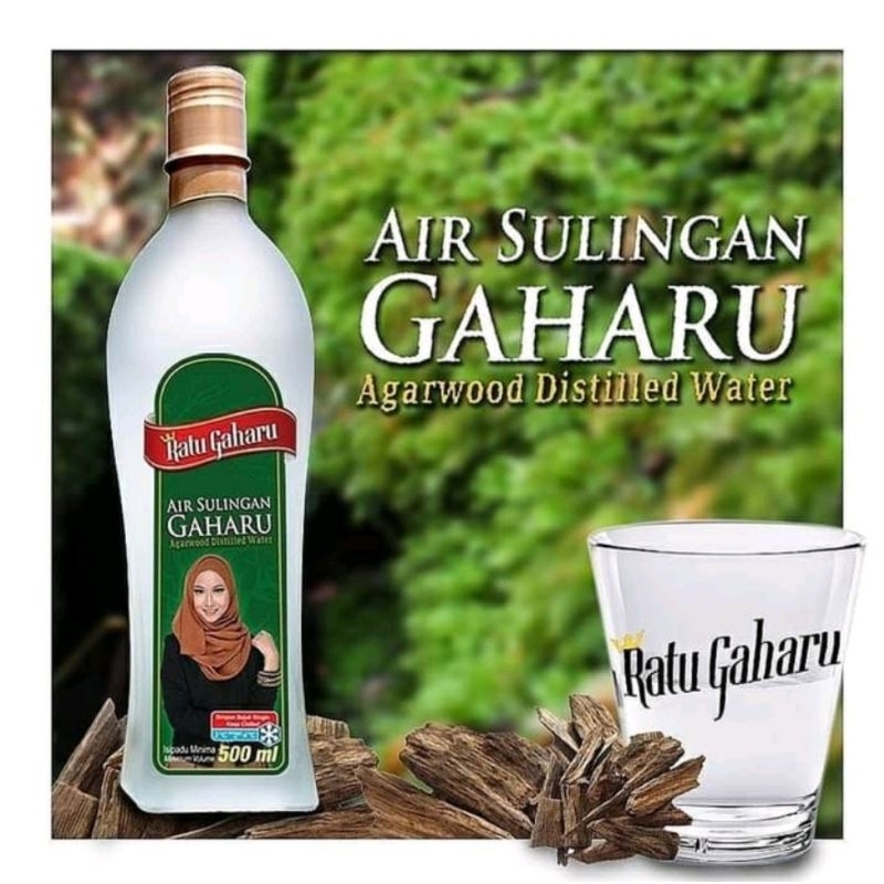 Air Ratu Gaharu Air Suling khas Untuk Kencing Manis Darah Tinggi Strok ...