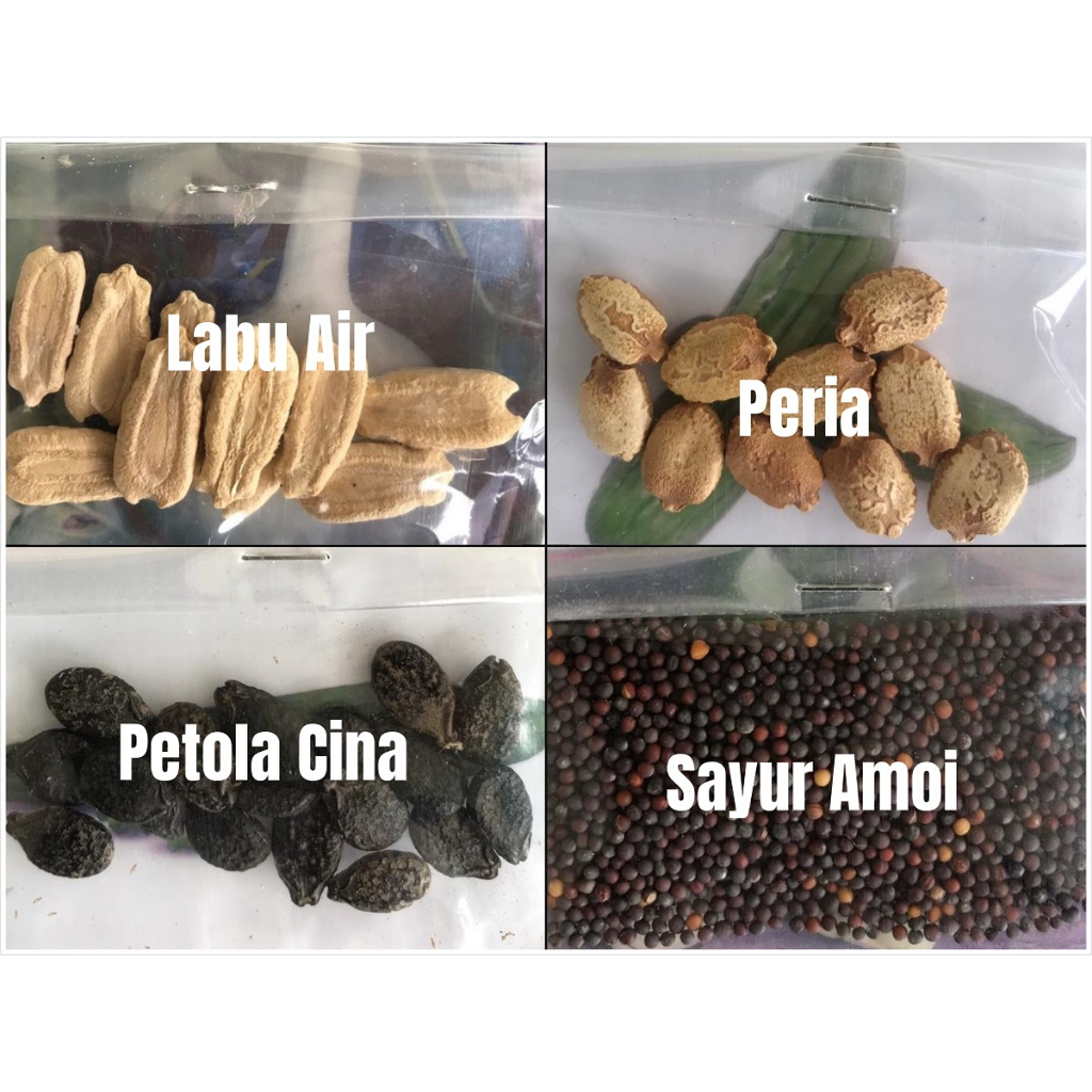 [Vegetable Seeds] Biji Sayur- variety pack (1g) | Shopee Malaysia