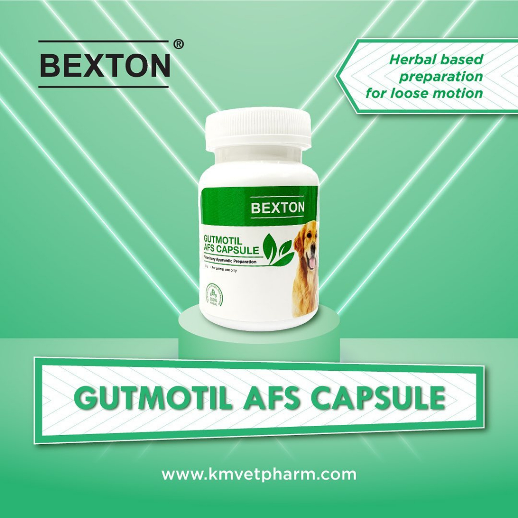 BEXTON Gutmotil Capsule (Ubat Sakit Perut Kucing & Anjing) 60 TABLET ...