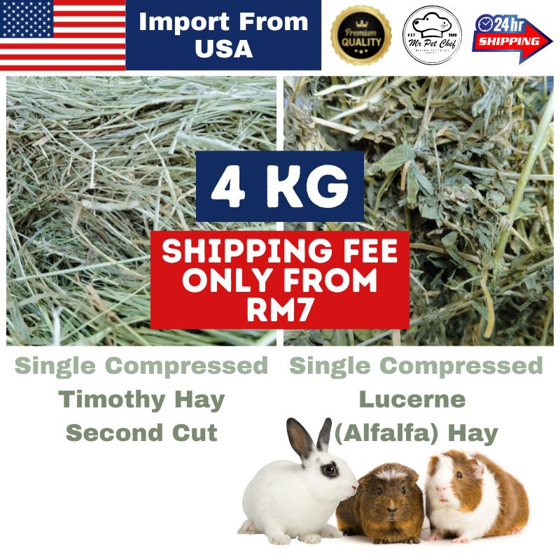 Rumput Arnab Alfalfa Hay Rabbit Timothy Hay 2 Cut Makanan Arnab Rumput ...