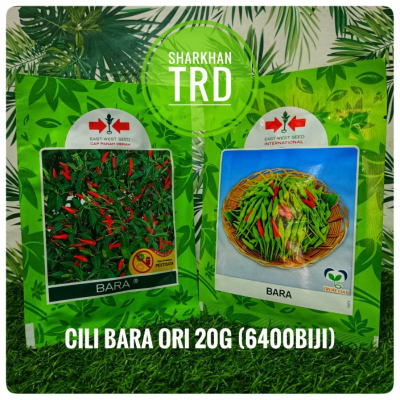 New Stock🔥Paket Cili bara 20gm @ 6400 biji Cili BARA (Ori) Cili Api ...