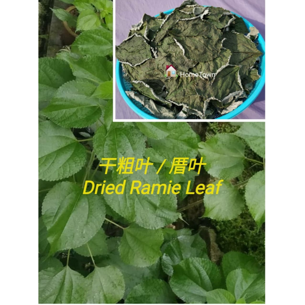 Dried Ramie Leaf 干粗叶/干厝叶 (40g/100g) Dry Ramie Leaf/粗叶干(晒干) | Shopee ...
