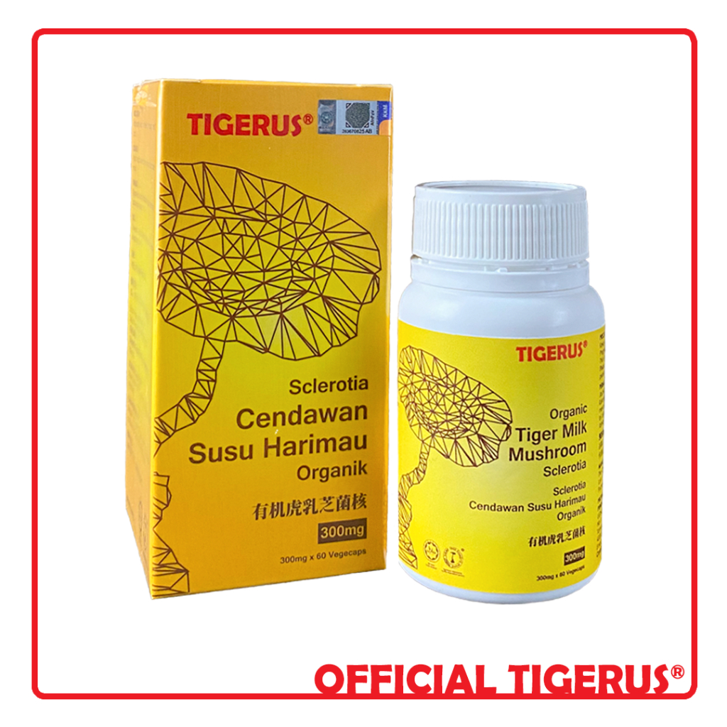 [TIGERUS® OFFICIAL] TIGERUS Organic Tiger Milk Mushroom 300mg Sclerotia ...