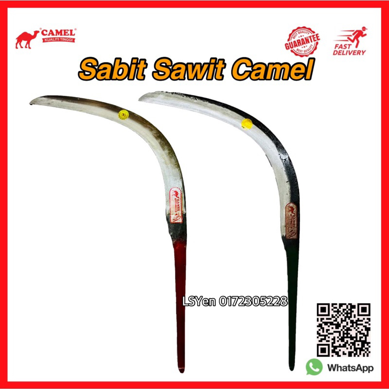 Sabit Sawit Camel / sabit camel / Sabit Sawit / sabit / sabit kelapa ...