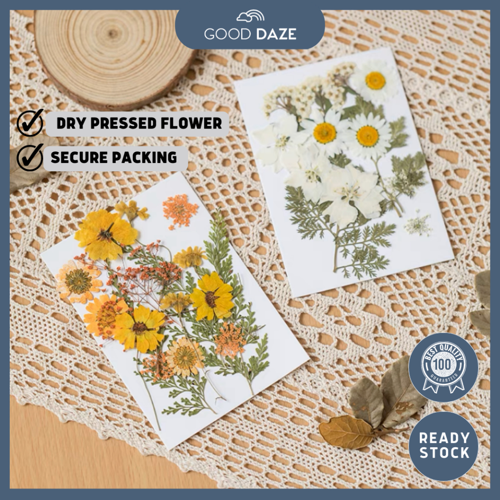 Good Daze Dry Pressed Flowers Dry Flower Art & Craft DIY 手工干花压花套 Kraf ...