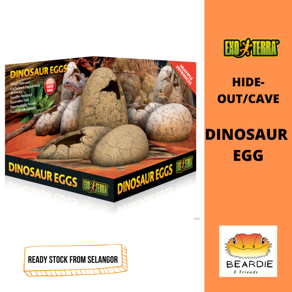 EXO TERRA DINOSAUR EGG HIDE-OUT CAVE HIDE REPTILE (PT2841) | Shopee ...