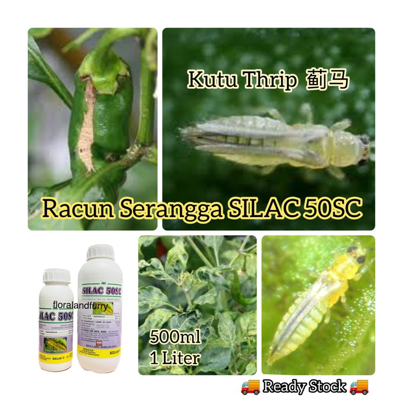 500ml 1L Silac 50SC Diafenthiuron 50.0% Racun Serangga Kutu Trip Kutu ...