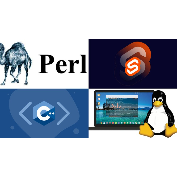 🔥COURSE🔥[Udemy] Svelte, Perl, Shell Scripting and C++ Course Bundle | Shopee Malaysia