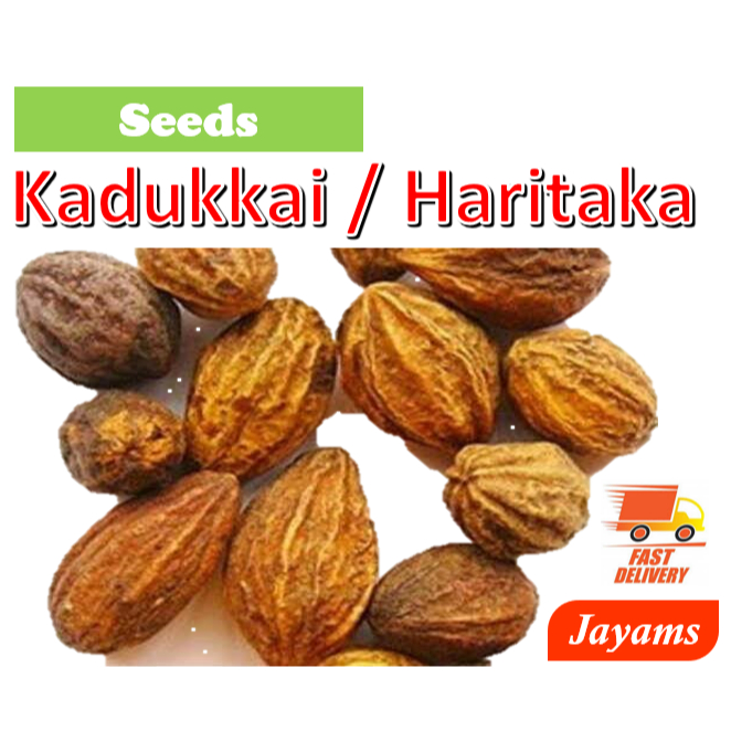 Kadukai / Haritaka Seeds | Shopee Malaysia