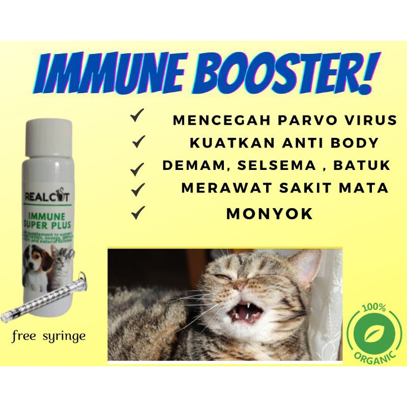IMMUNE BOOSTER DEMAM PARVO FEVER STRESS CIRIT SAKIT MATA ULSER KUCING ...