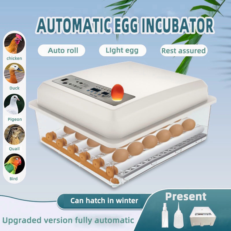 Egg Automatic Turning Incubator Egg Hatcher Automatik Penetasan Telur ...