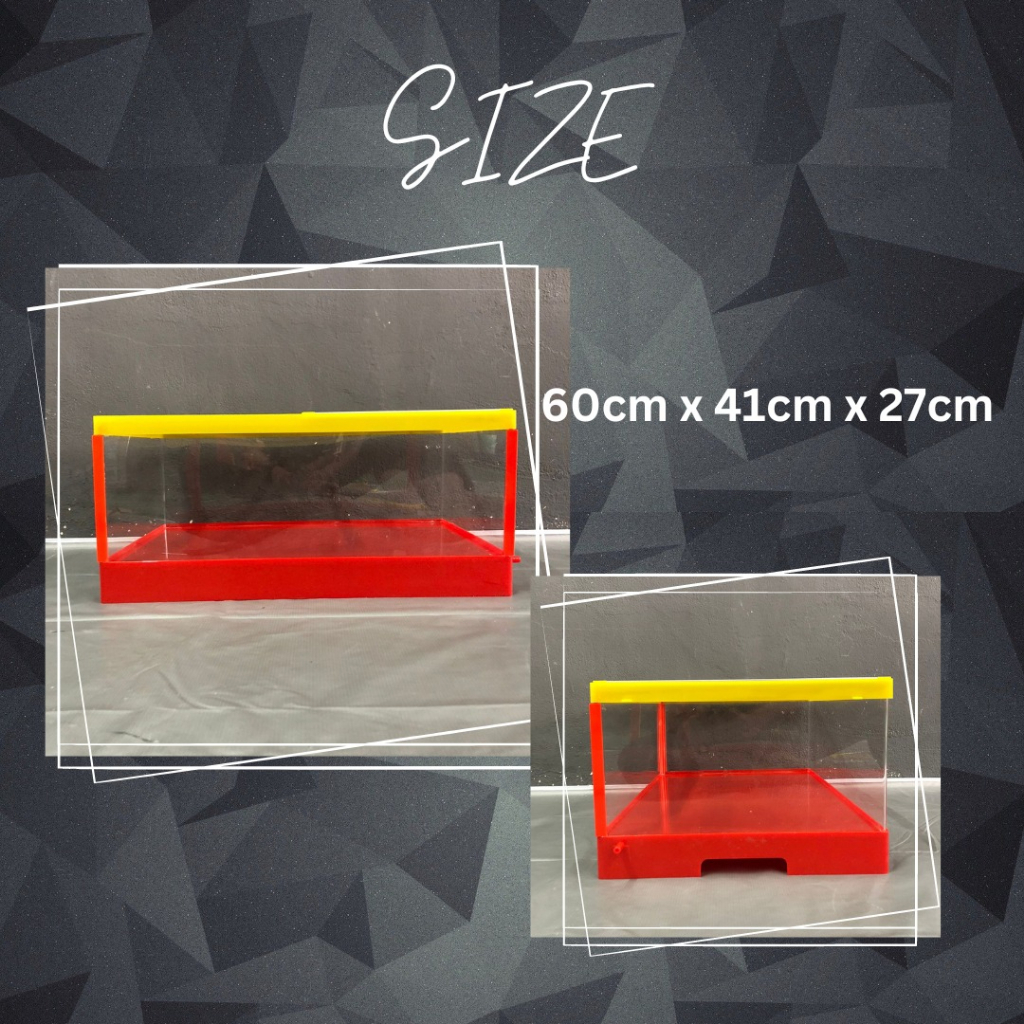 BALANG BUAH PELBAGAI SAIZ CAP PAYUNG | Shopee Malaysia