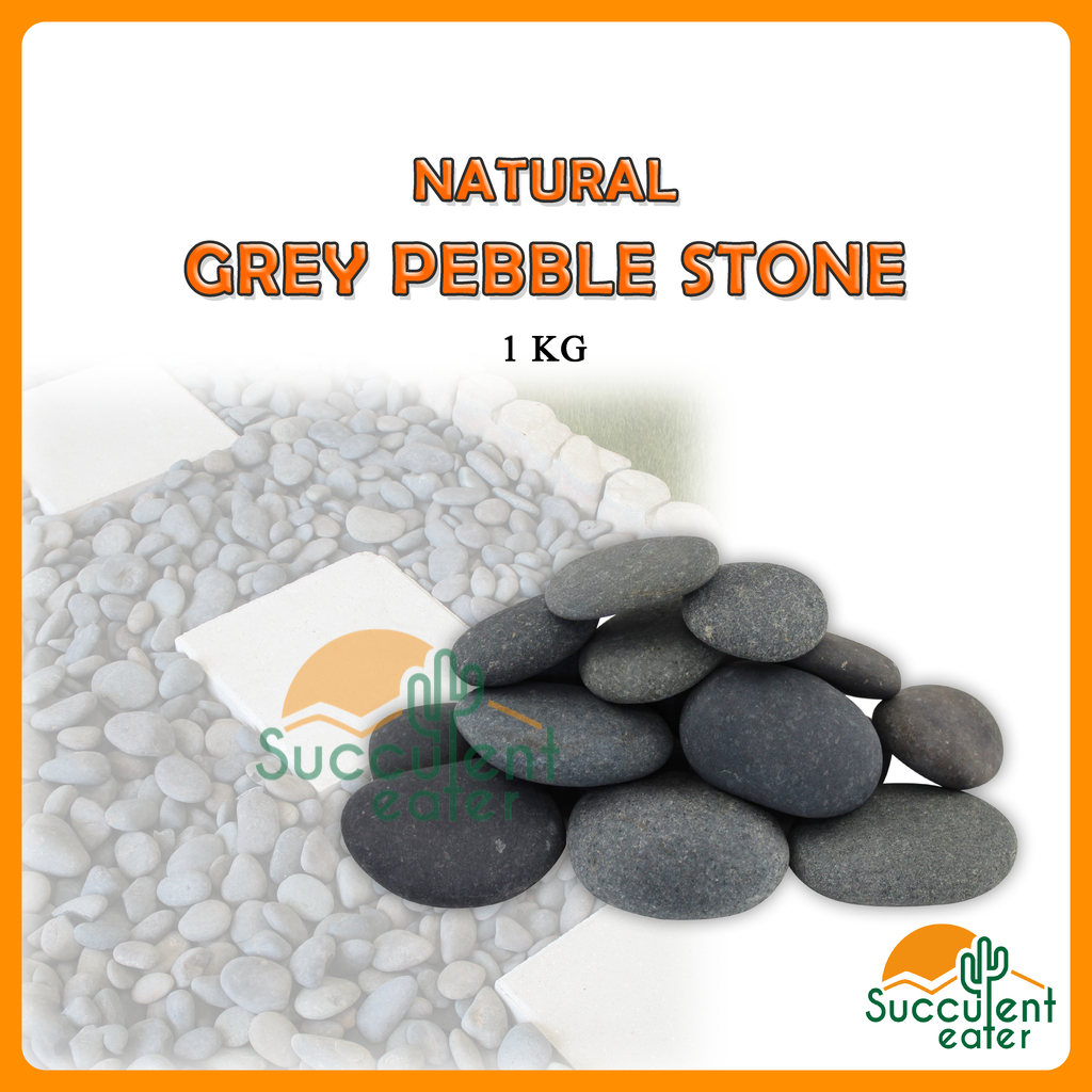 1KG Grey River Pebble Stone Gardening Landscape Decoration Massage ...