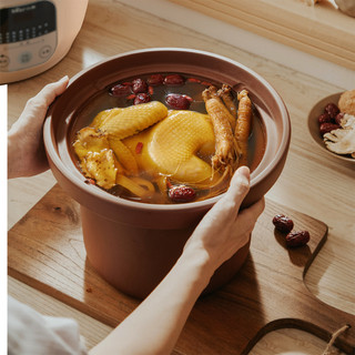 Bear Electric Stew Pot Slow Cooker Purple Clay Pot Soup Pot Porridge ...