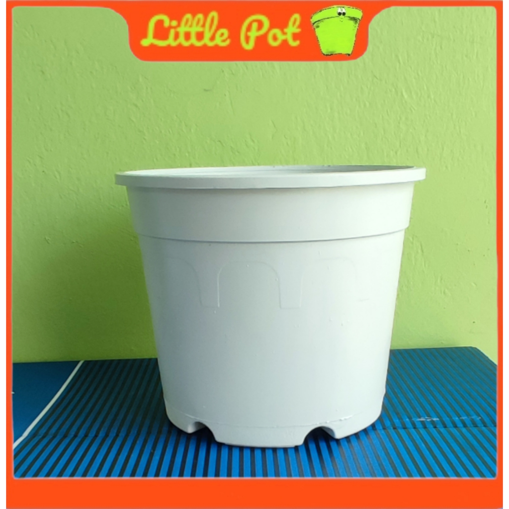 17CM Vegetable Pot Flower Pot Pasu Bunga Pasu Sayur Pasu Plastik Putih ...