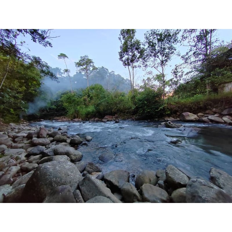 Batu Sungai Borneo (Sabah) khas bertungku dan berpantang | Shopee Malaysia