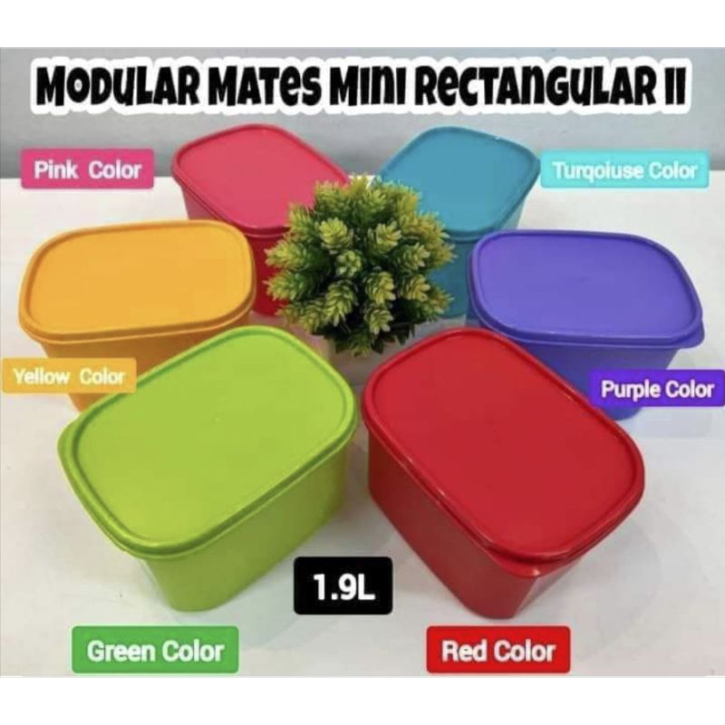 MM Mini Rectangular 850ml / 1.9L (1pc) | Shopee Malaysia