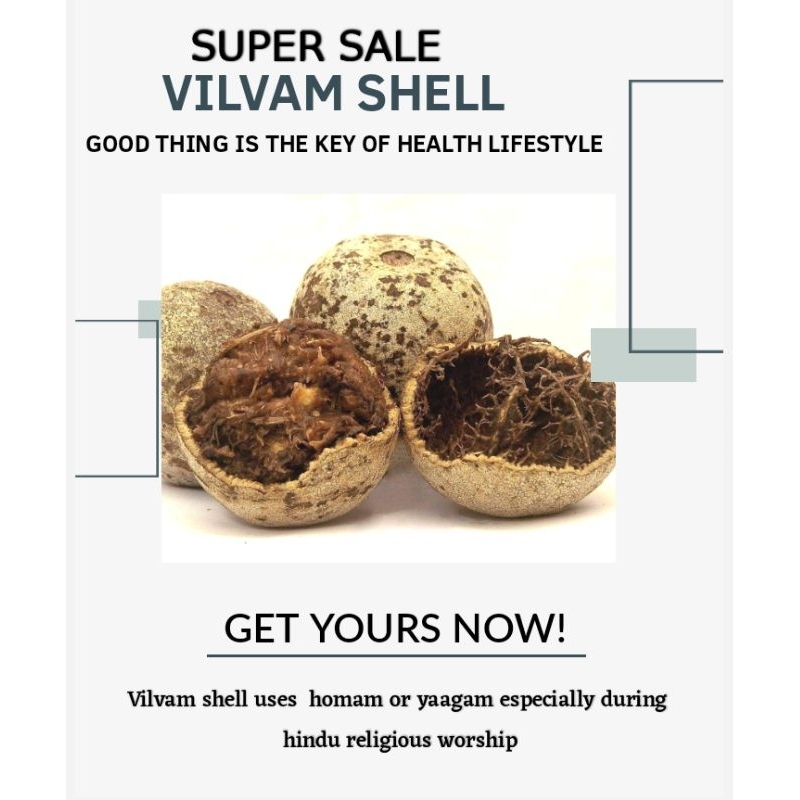 DRIED VILVAM SHELL/BILVA SHELL | Shopee Malaysia