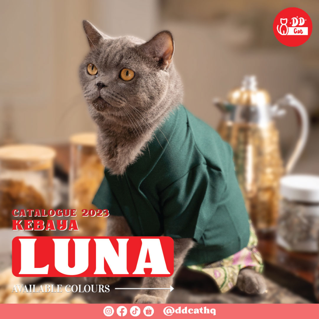 BAJU RAYA KUCING DD CAT Baju Kebaya Luna | Shopee Malaysia