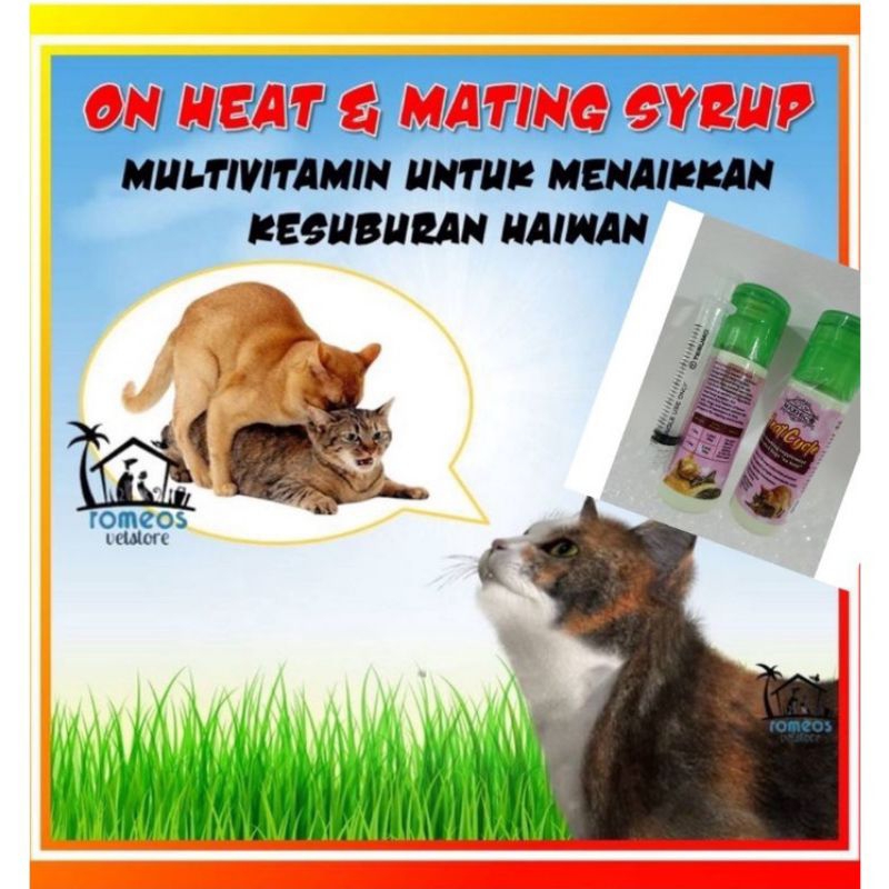 MAXHICO On Heat Ubat Kesuburan/Tingkatkan Nafsu Kucing Mengawan/Tambah ...