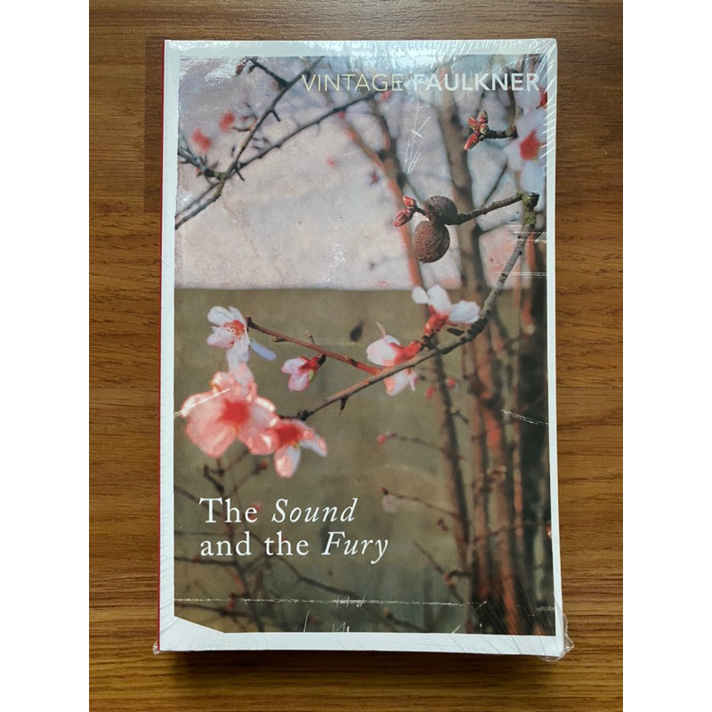 The Sound and the Fury by William Faulkner (Vintage Classics) (Classics ...