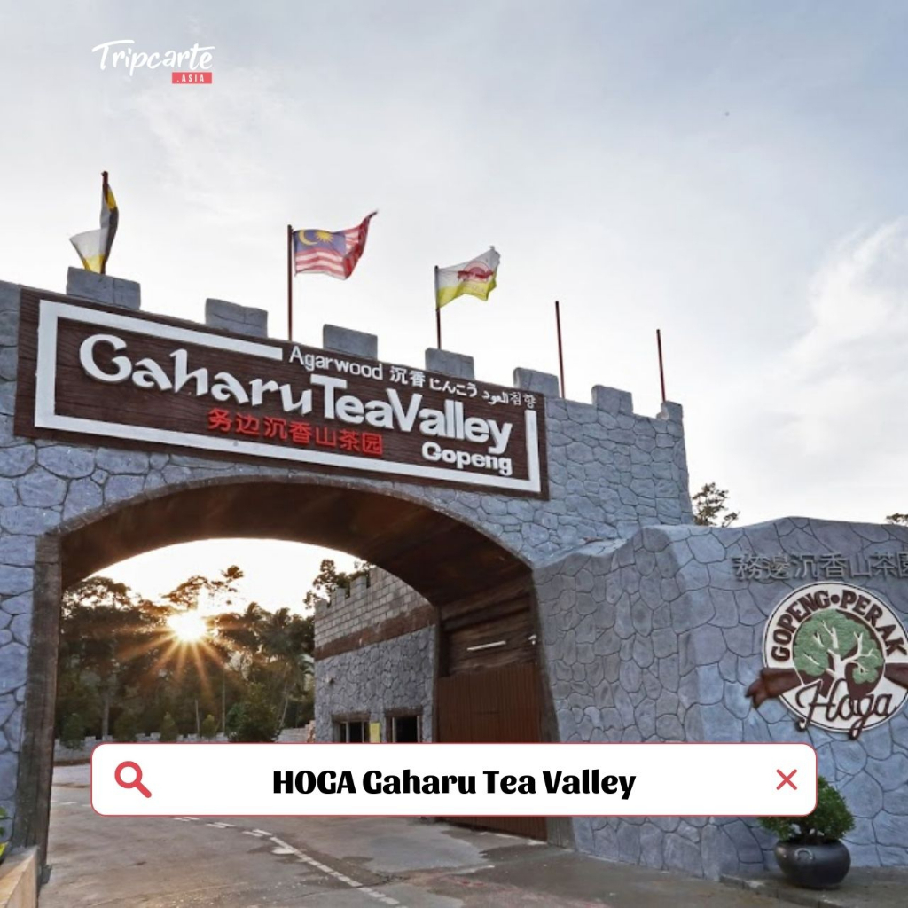HOGA Gaharu Tea Valley [Tripcarte Asia] | Shopee Malaysia