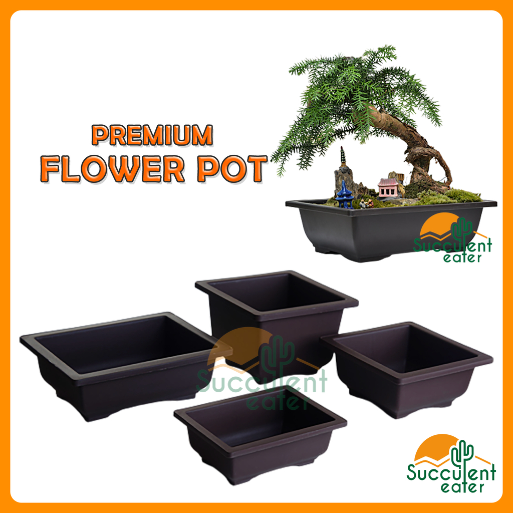 Premium Dark Brown Bonsai Plastic Flower Pot Pasu Bunga 仿紫砂花盆 | Shopee ...
