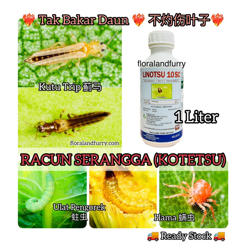 1L LINOTSU 10SC Chlorfenapyr 10% Racun Serangga Hama Merah Ulat Plutella Ulat Pengorek Batang ...